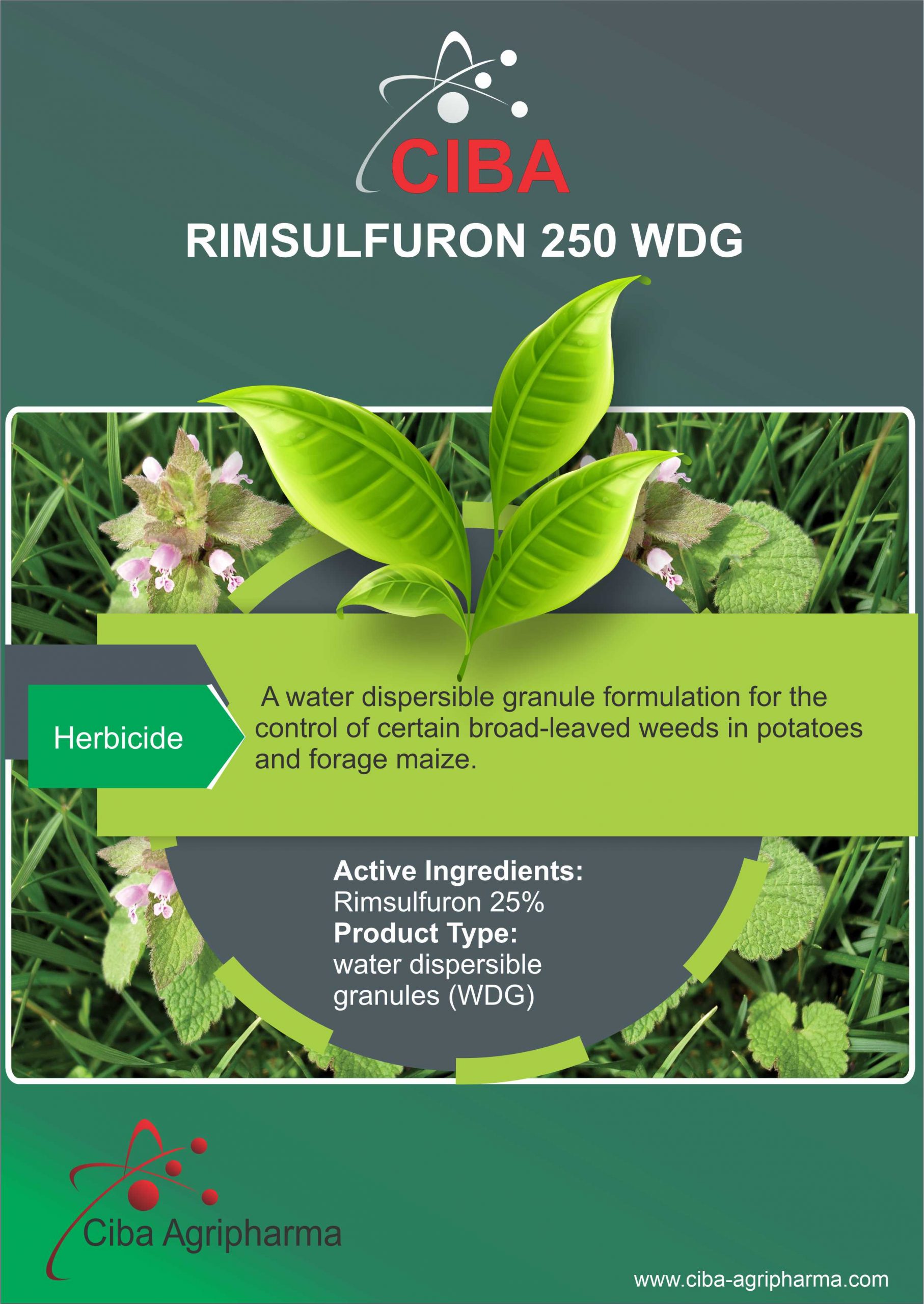 CIBA RIMSULFURON 250 WDG – CIBA AGRIPHARMA